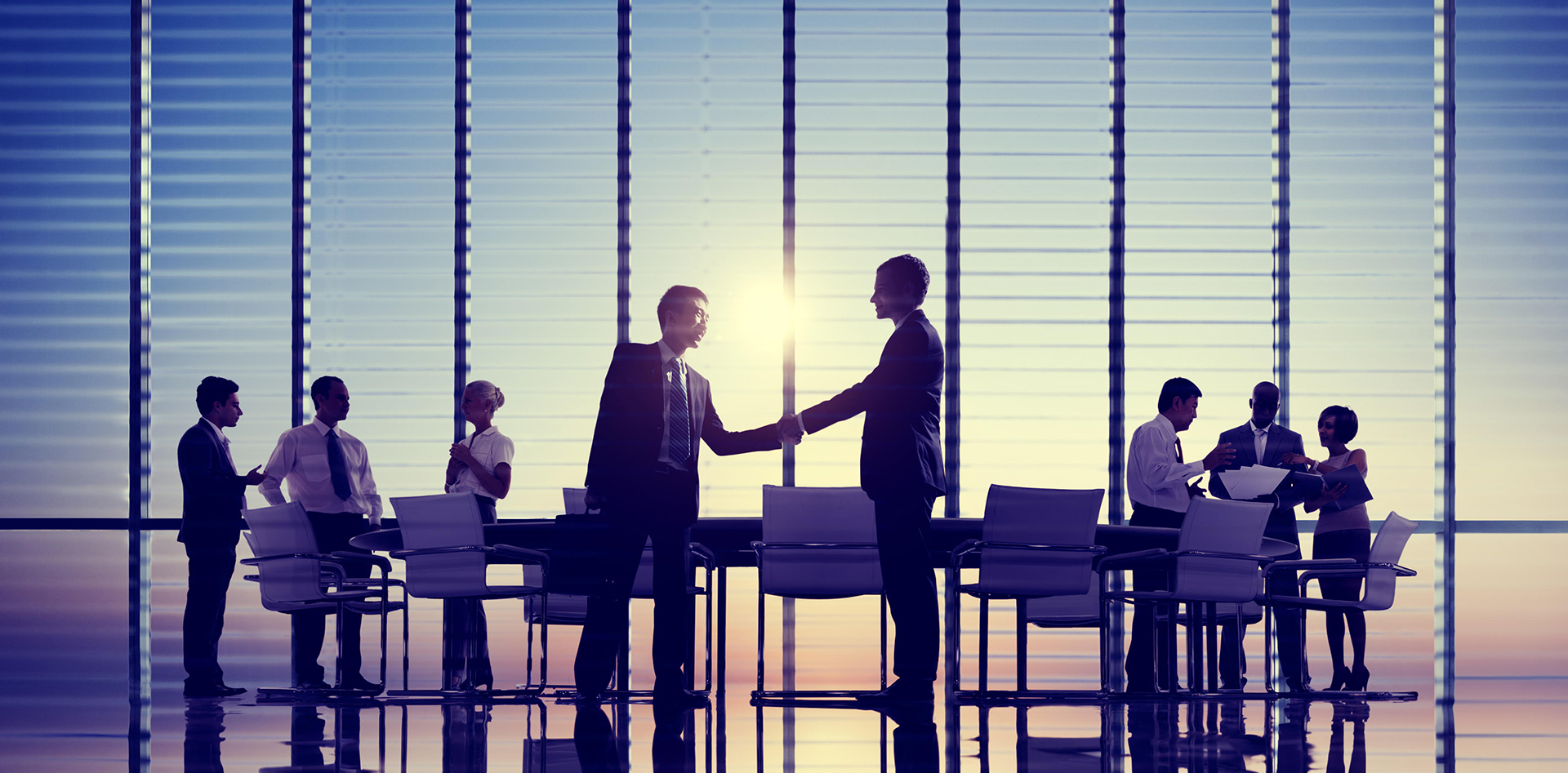 Consultancy - Eurocom S.A.